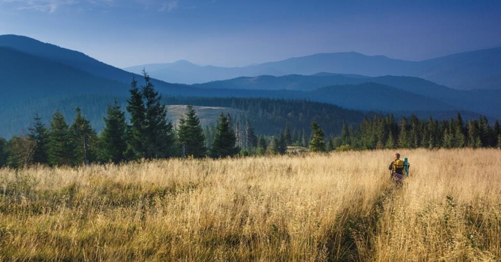 How to get to net zero in real estate investment | Schroders Capital ...