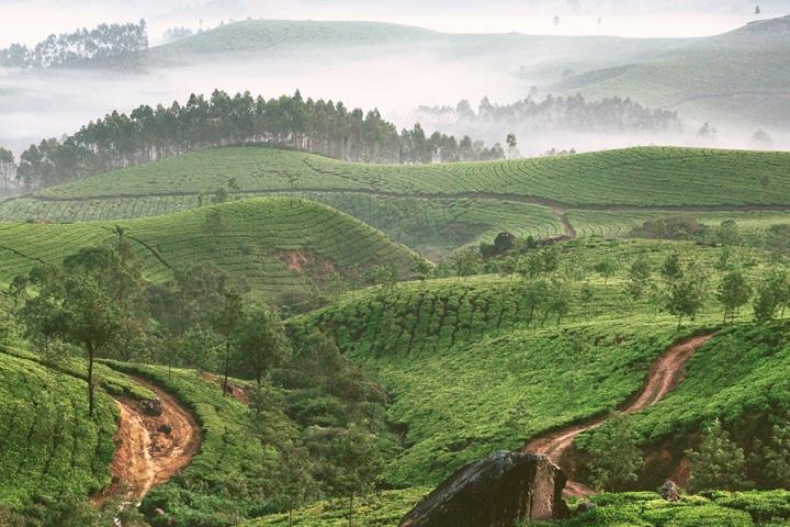 India: an ESG landscape in transformation | Federated Hermes ...