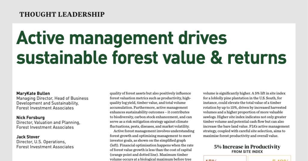 Active management drives sustainable forest value & returns | Forest ...