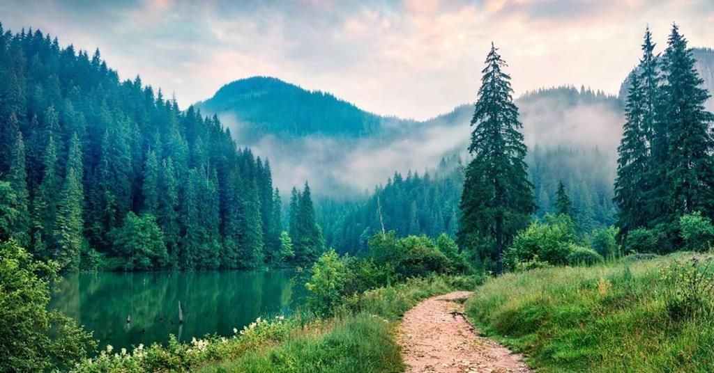 Investing in nature-based solutions | Nuveen Natural Capital ...