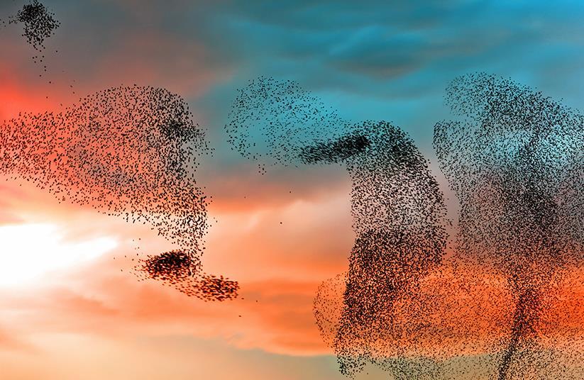 The big contribution: How DC pension schemes can build a brighter ...