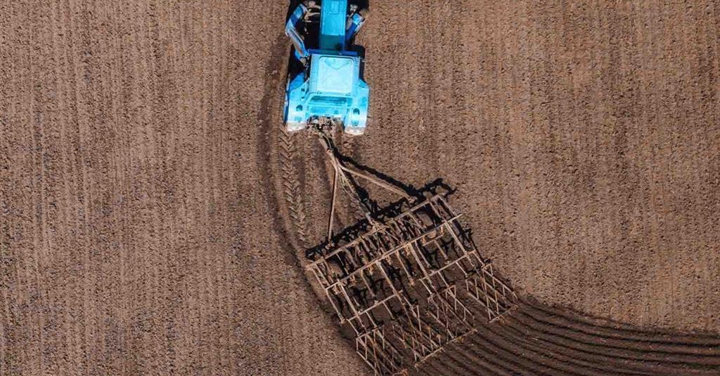 From seed to supper – Solutions to mitigate food waste | BNP Paribas ...