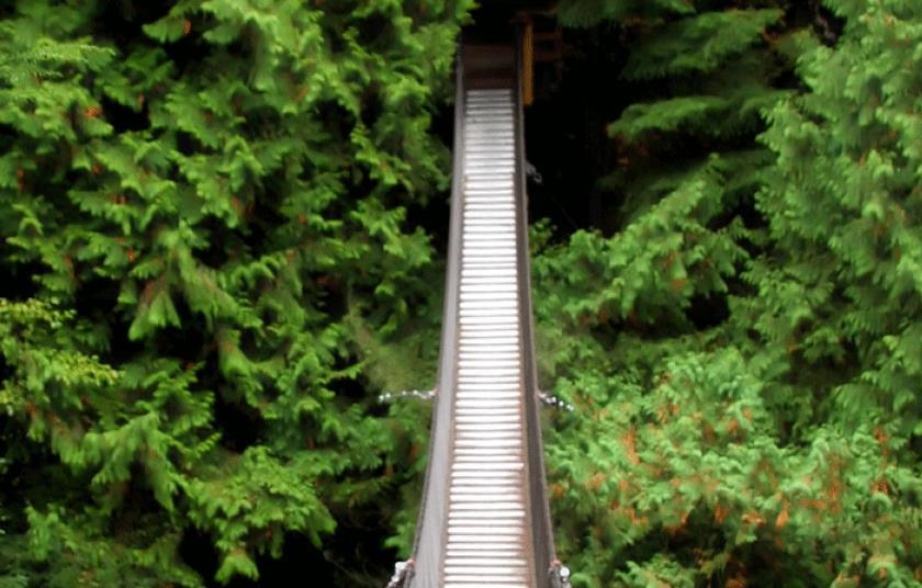 Opportunities lie beyond precarious path to growth | Amundi | Reference Hub