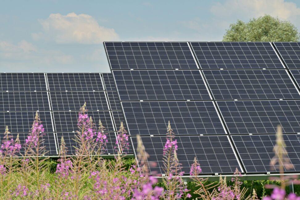 Actis’ Southeast Asia Renewables Platform Levanta Makes First Thailand ...