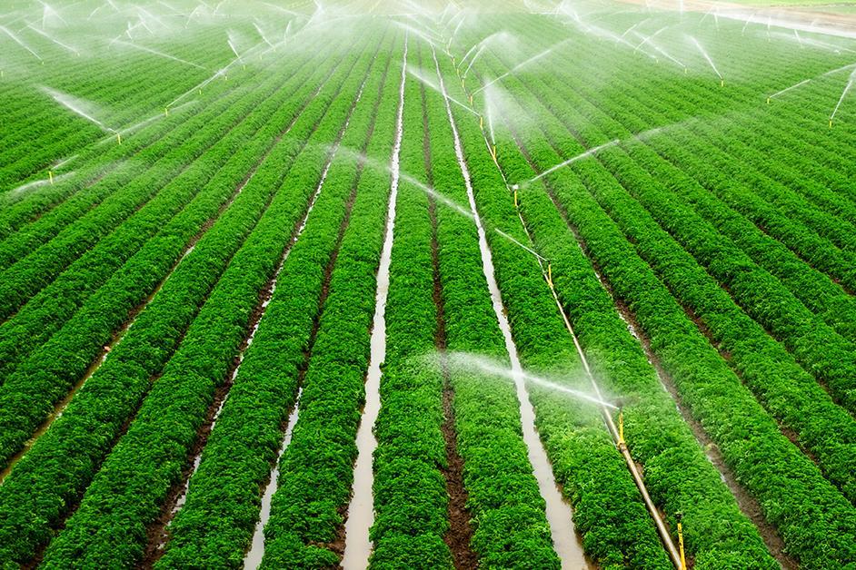 Regenerative agriculture: definition, implementation, and impact ...