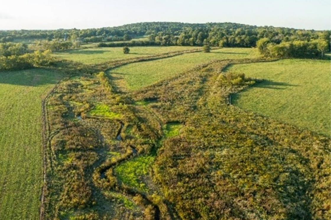 U.S. markets for ecosystem restoration: Enabling investment in nature ...